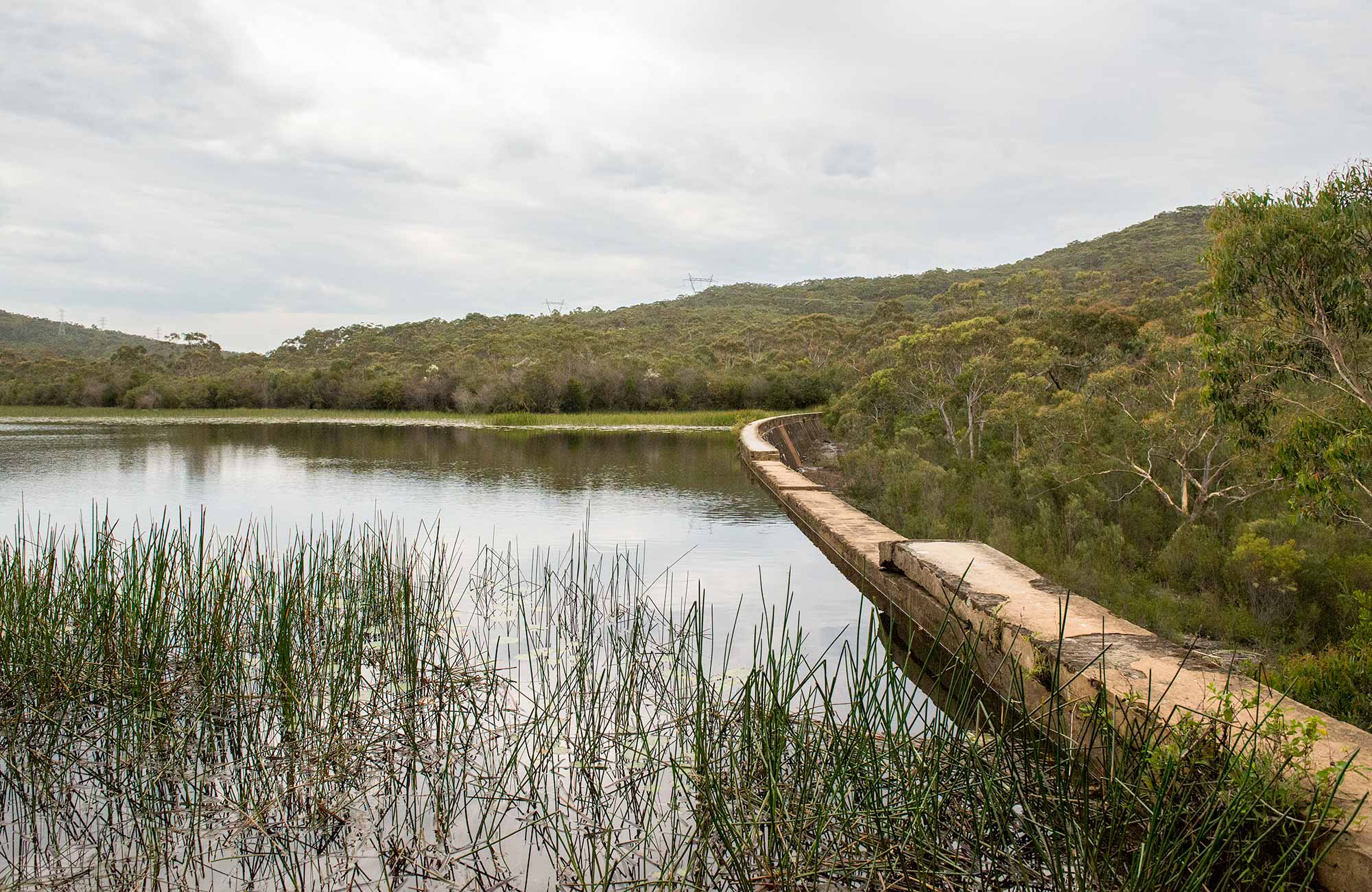 Lake Toolooma Trail « Visit The Shire